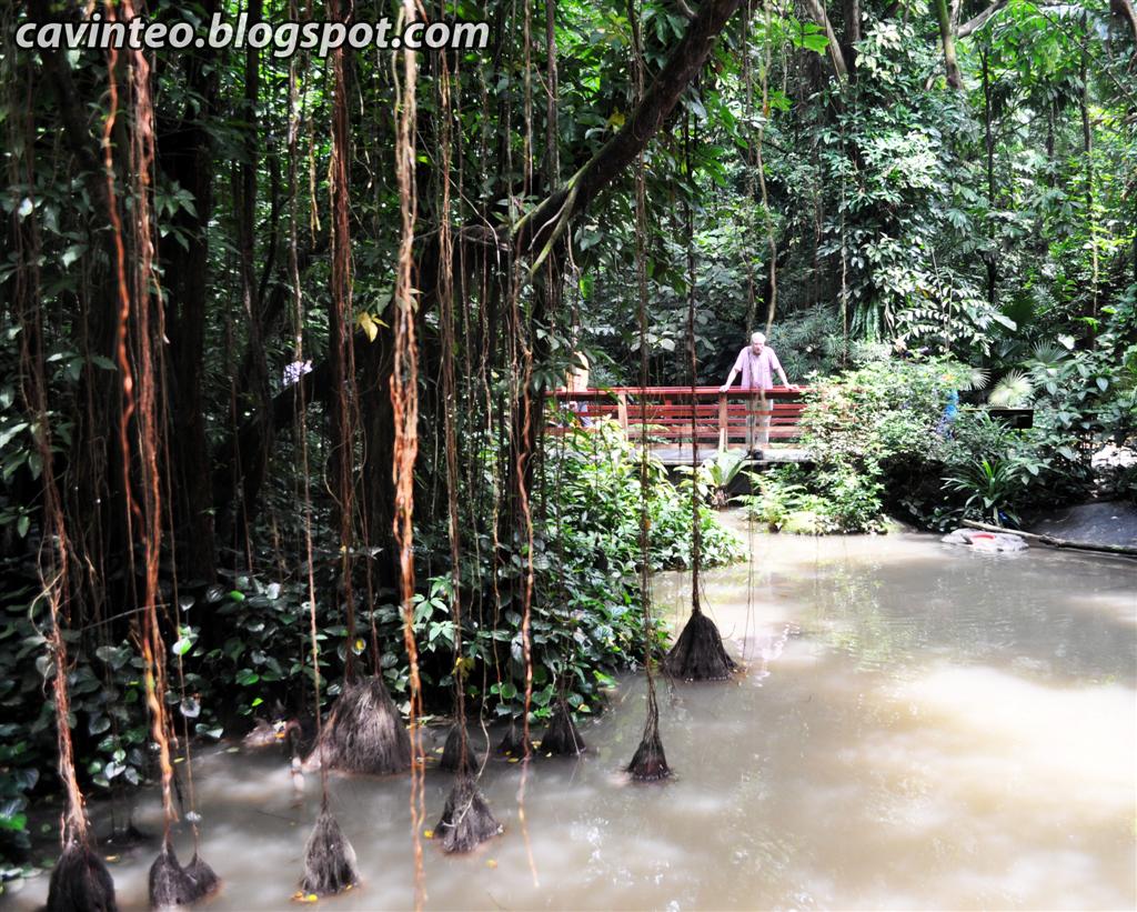 Entree Kibbles: African Waterfall Aviary [World's Tallest Man-Made ...