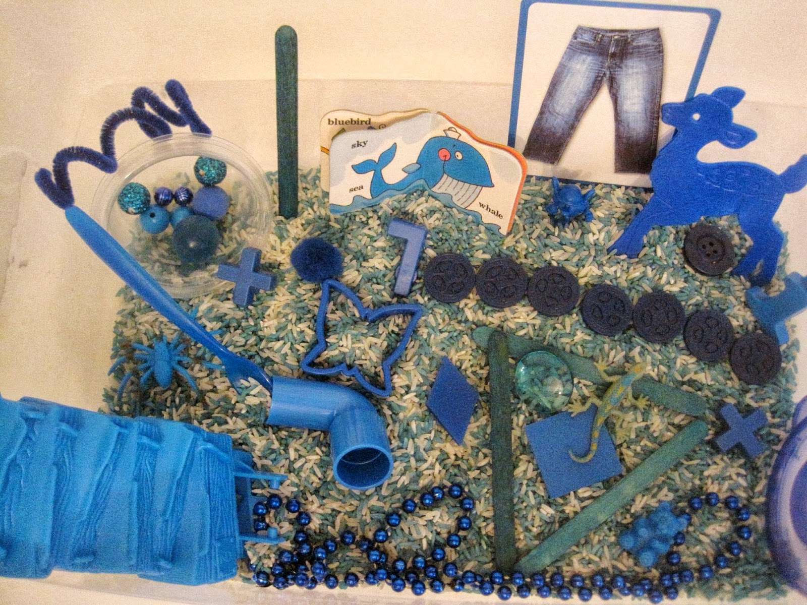 Organic Insights Learning Studio: DIY - Create a BLUE Sensory Bin for ...