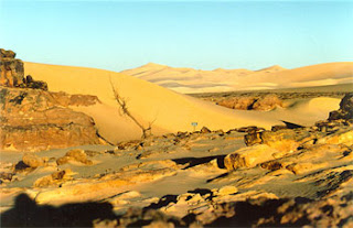 beautiful places and National Parks: Reserve Air and Ténéré.