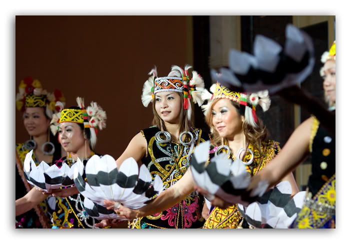 Cats City Hornbill Land: THE KENYAH