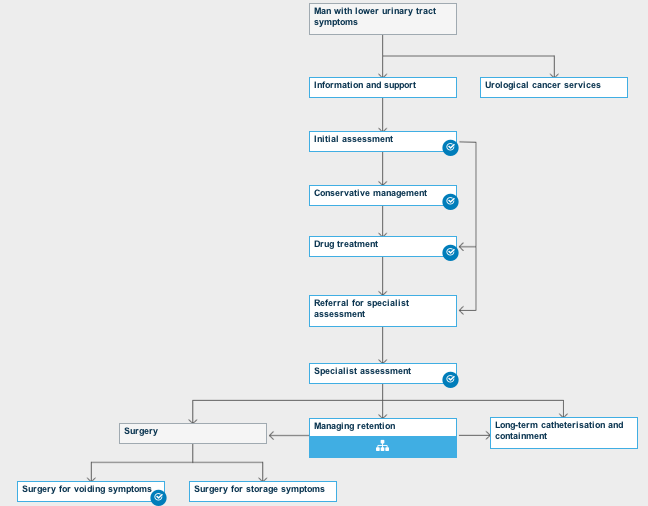 Male LUTS: Lower urinary tract symptoms in men overview NICE GUIDELINES