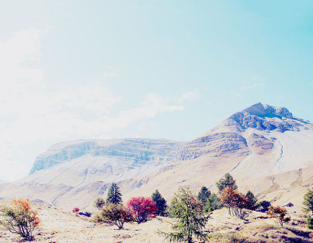 Photography by David Ryle