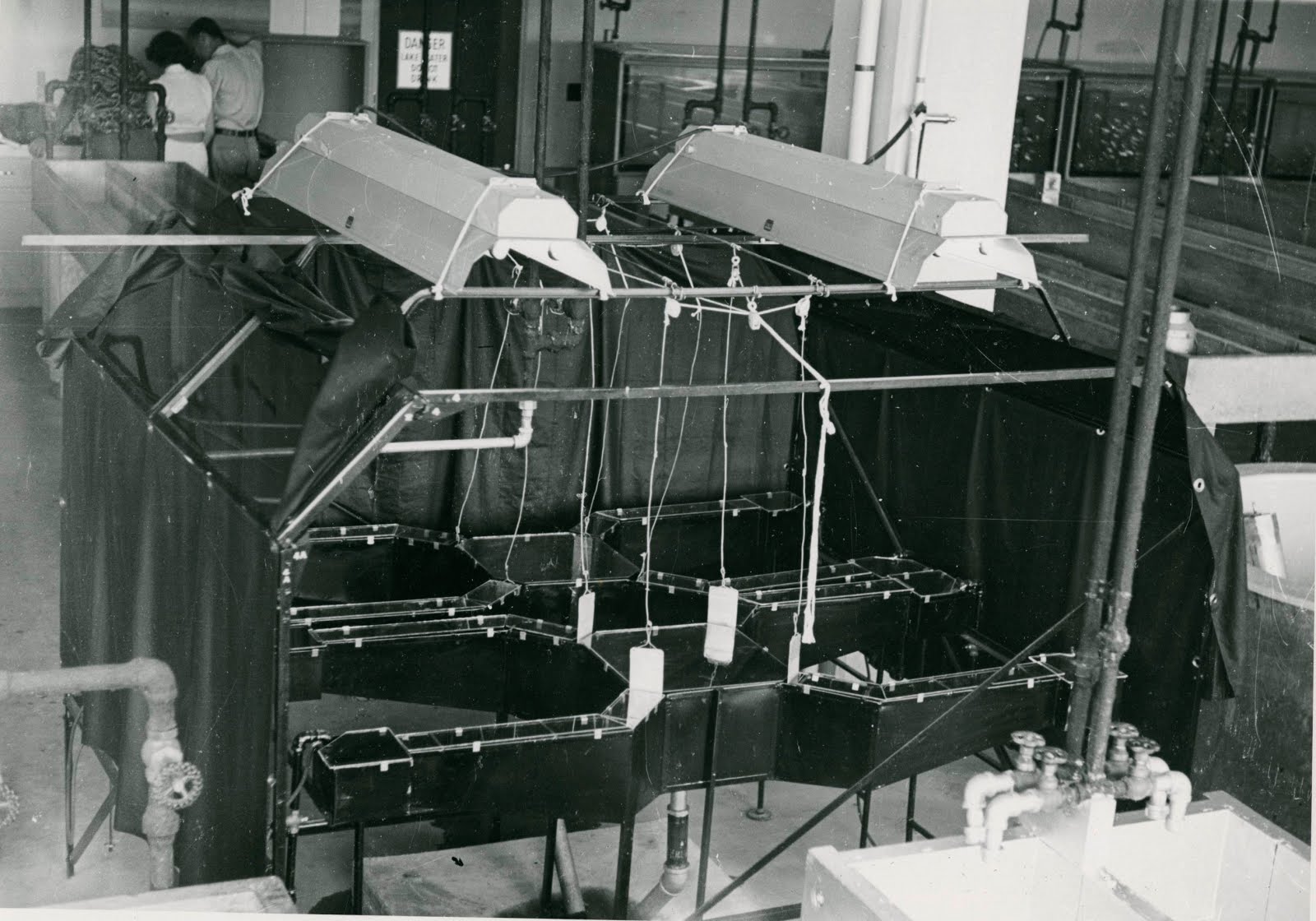 Hasler History: Arthur D Hasler Professional PhotoBio