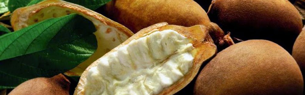 Nutrition 4 Cells : The Most Sought-After Fruits