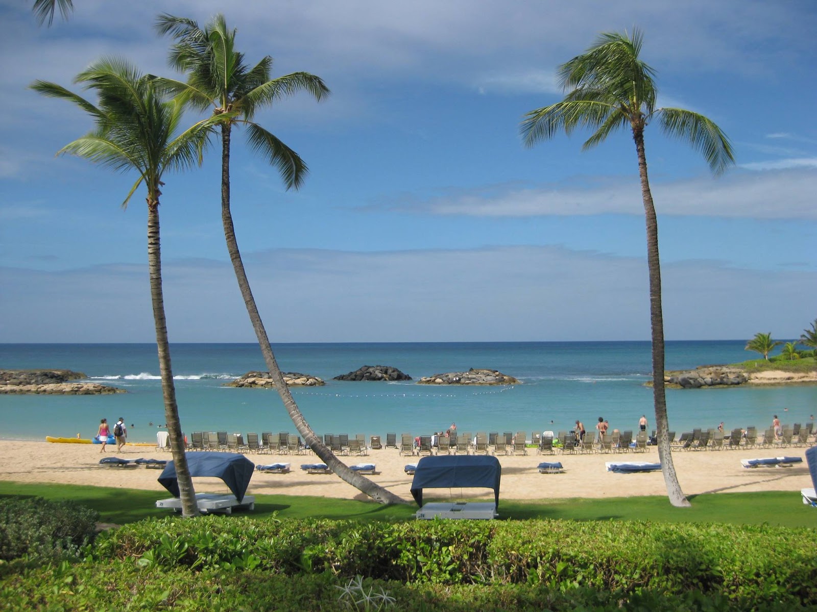 A Very Good Life: Leaders in Garden Renaisance~ Village Nurseries Open ...