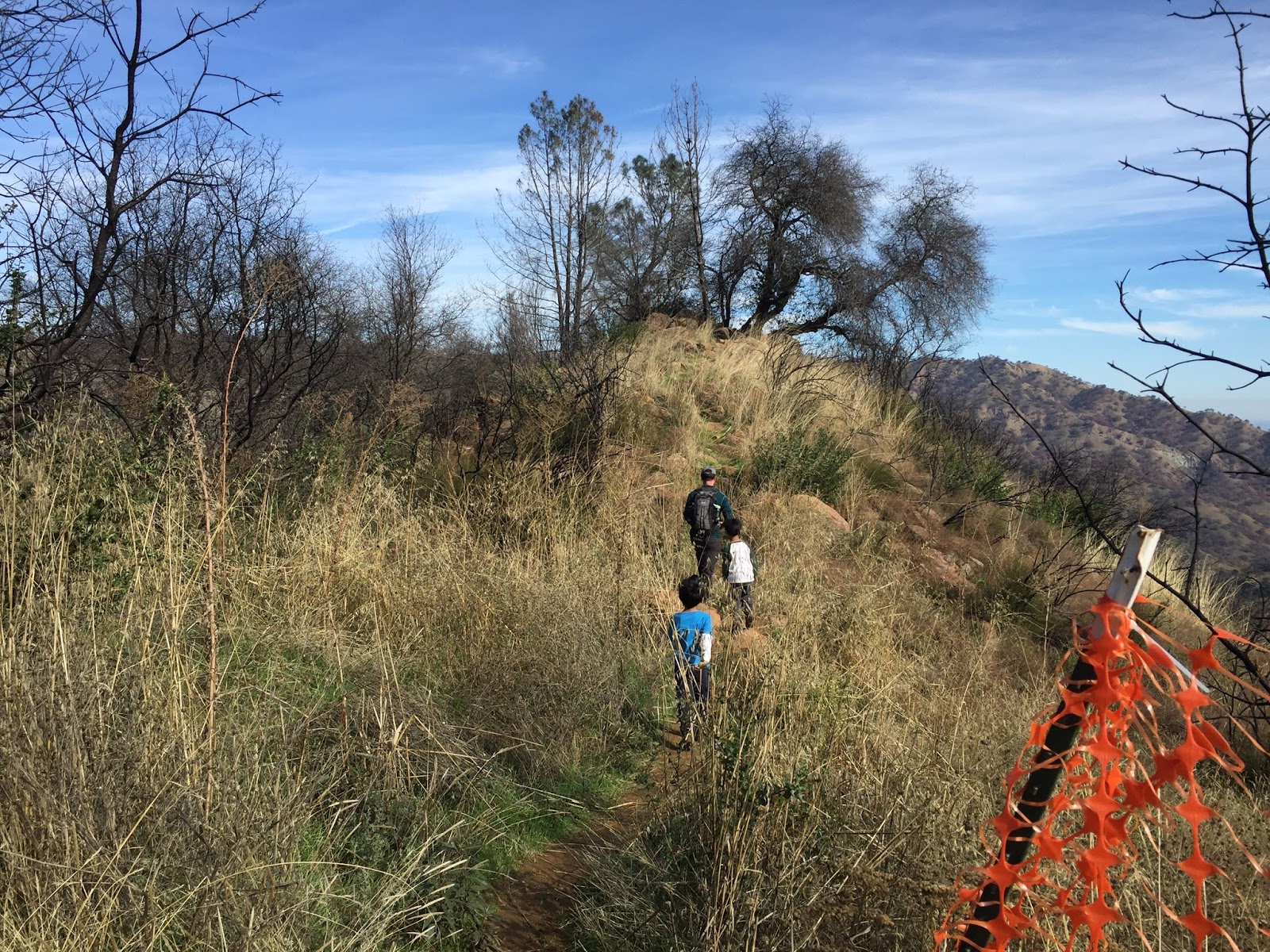 Run-Hike-Play: Hiking Stebbins Cold Canyon Blue Ridge Loop Trail