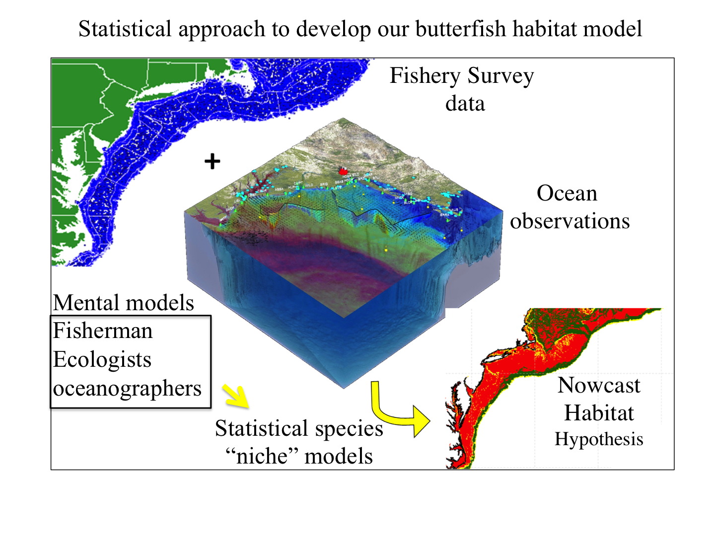 Ecology of Coastal Ocean Seascapes: November 2011