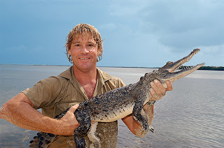 The History Dropoff: Steve Irwin (#98)