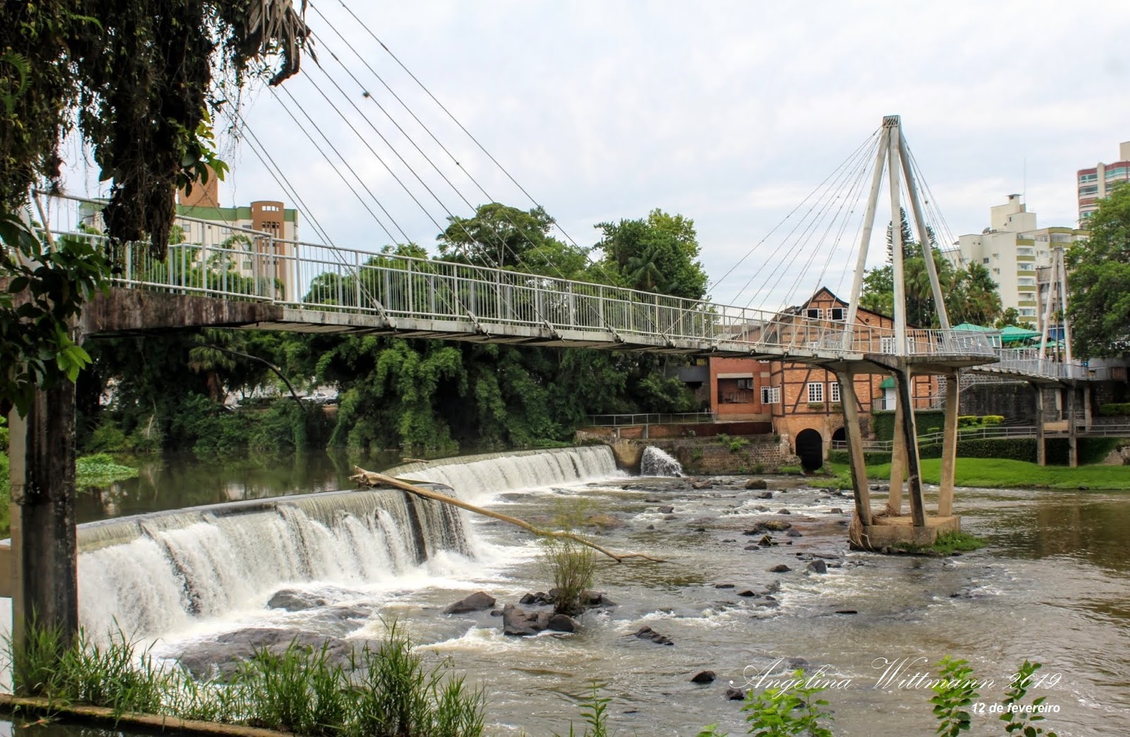 Angelina Wittmann - Arte-Cultura-História e Antropologia : Timbó - SC ...