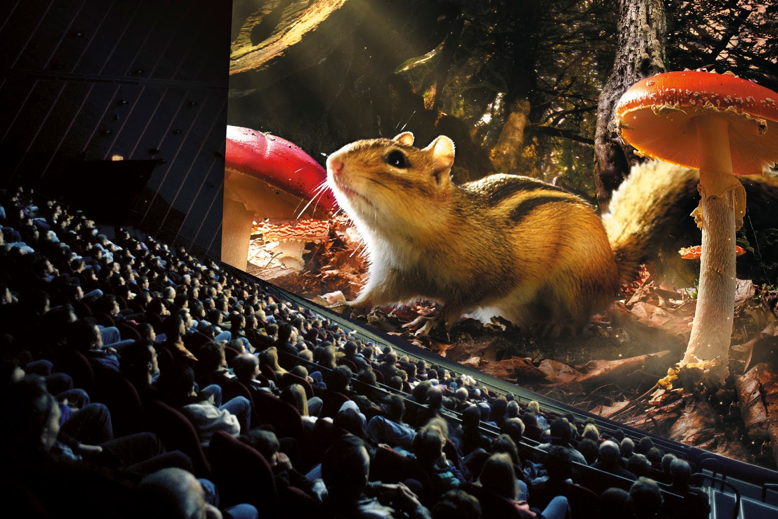 IMAX 4K Laser au Gaumont Montpellier