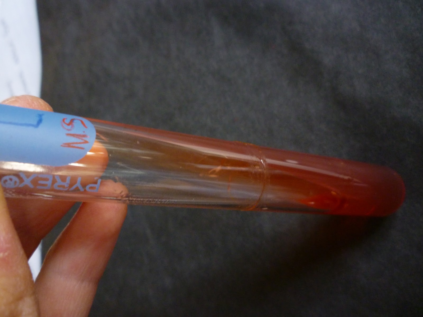 Medical Microbiology: October 18 & 20