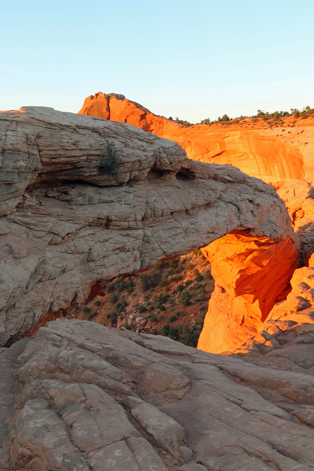 A is for Adventure: Mesa Arch and Neck Spring Trail at Canyonlands ...