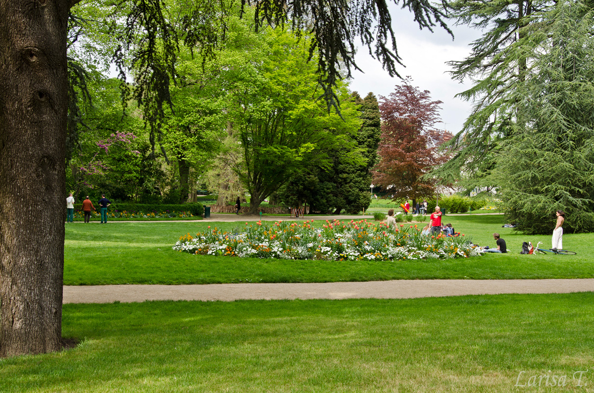 Cu Azorel la plimbare - Blogul Larisei