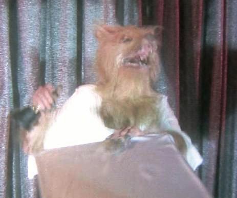 Squealing Tires on Dirt : The Marsupials: The Howling III