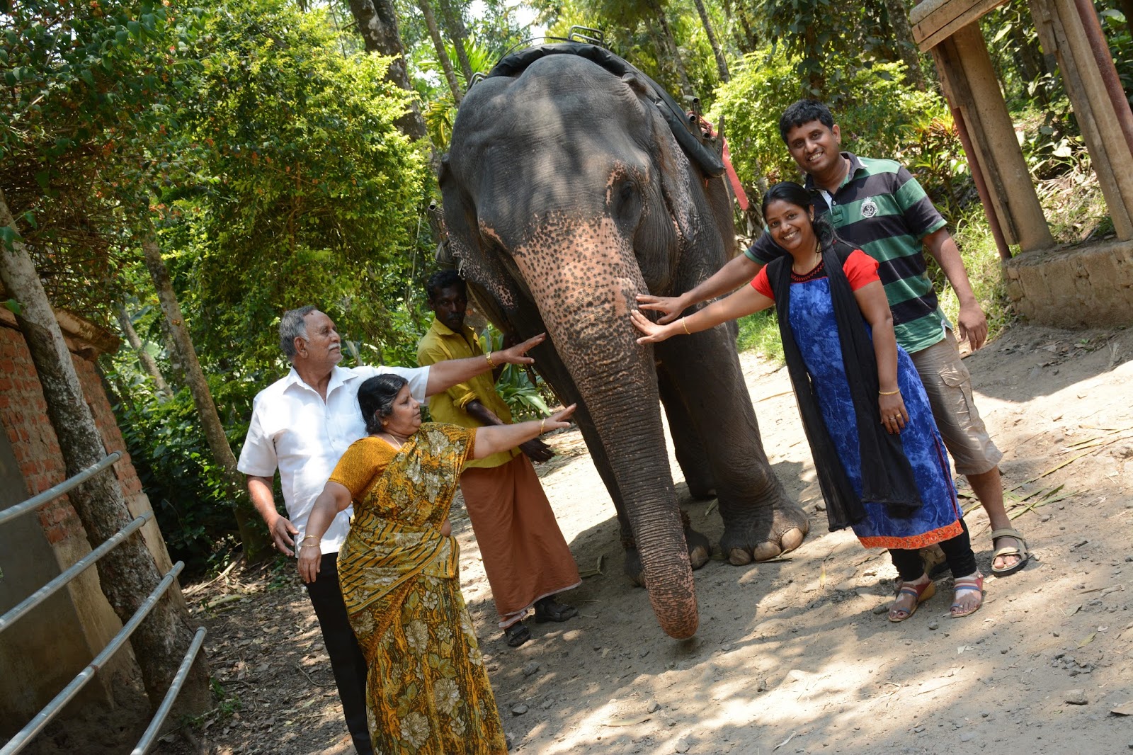 Our Travel Tales: Elephant ride at Tusker Trail, Thekkady