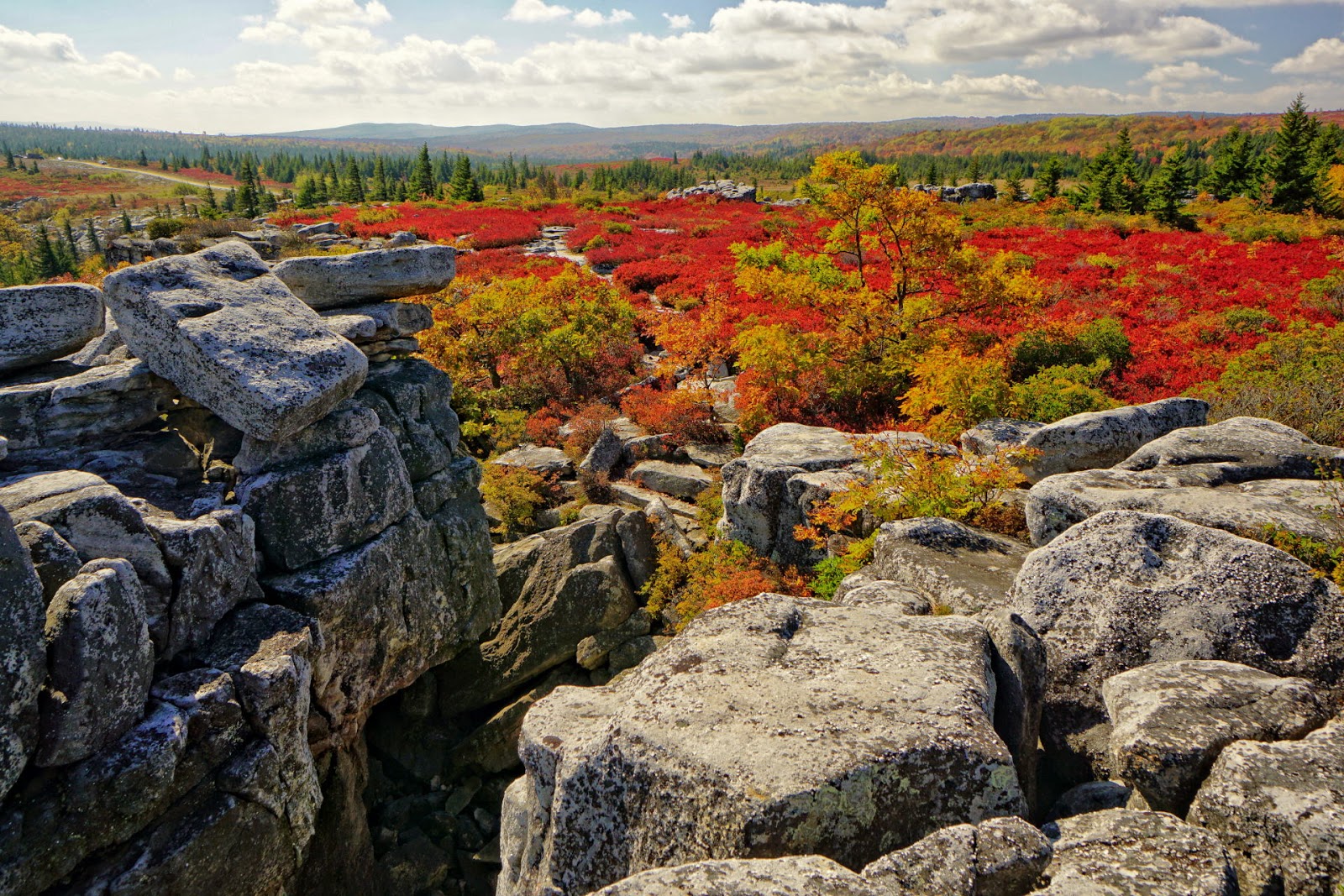 Discover West Virginia: Where to Go for Early Autumn Color in WV