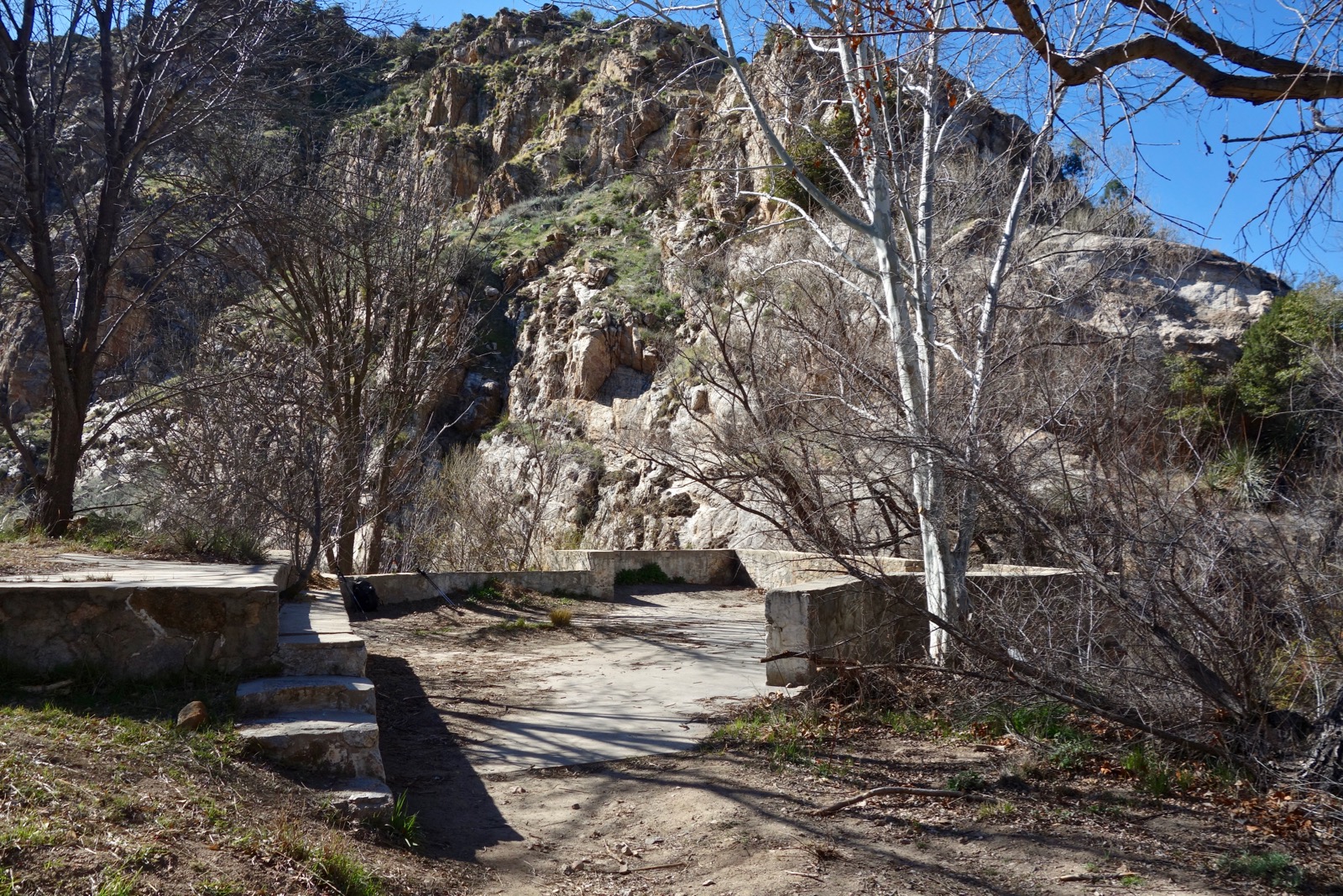 Earthline: The American West: Box Camp Trail, Pusch Ridge Wilderness