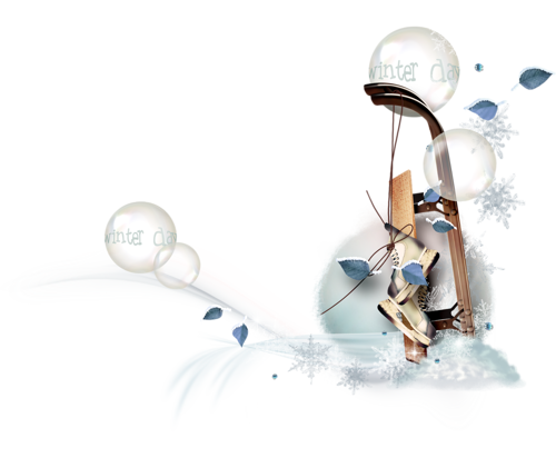 ForgetMeNot: cluster winter