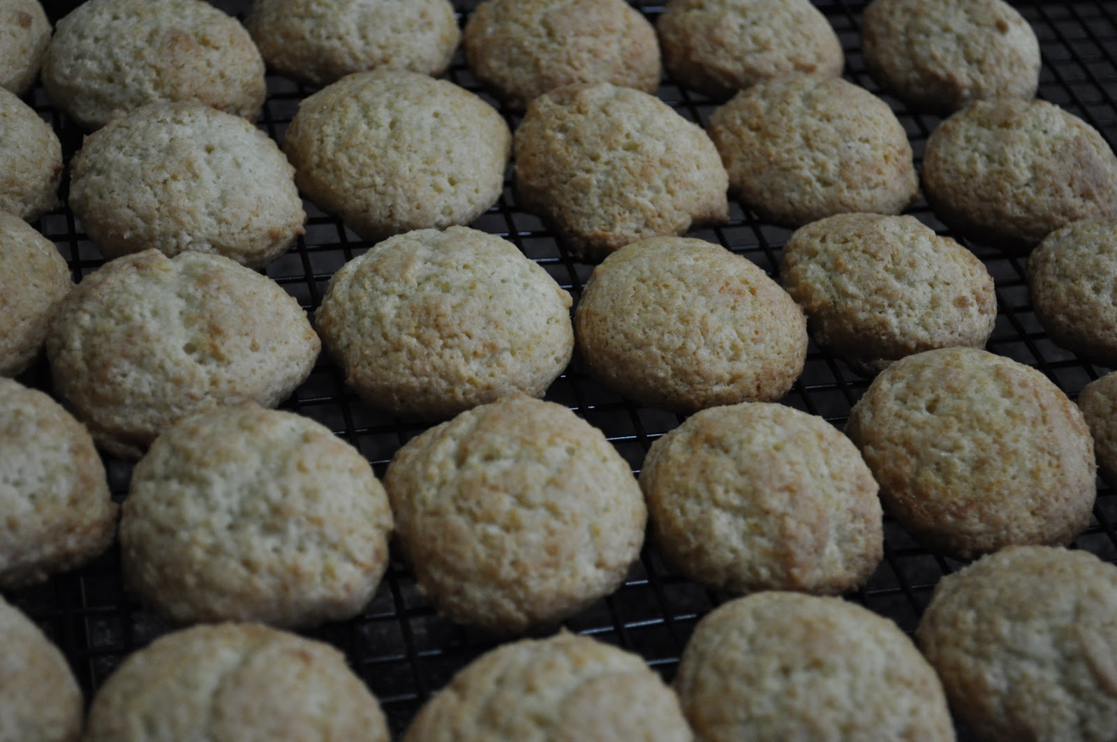 Teacher, Baker, Gourmet Meal Maker: 2011