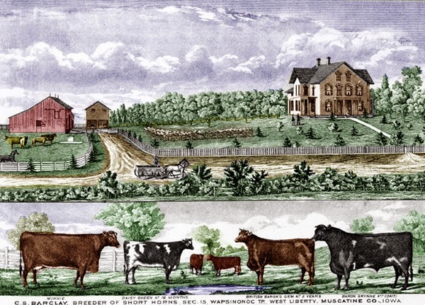 Iowa Farm 1875