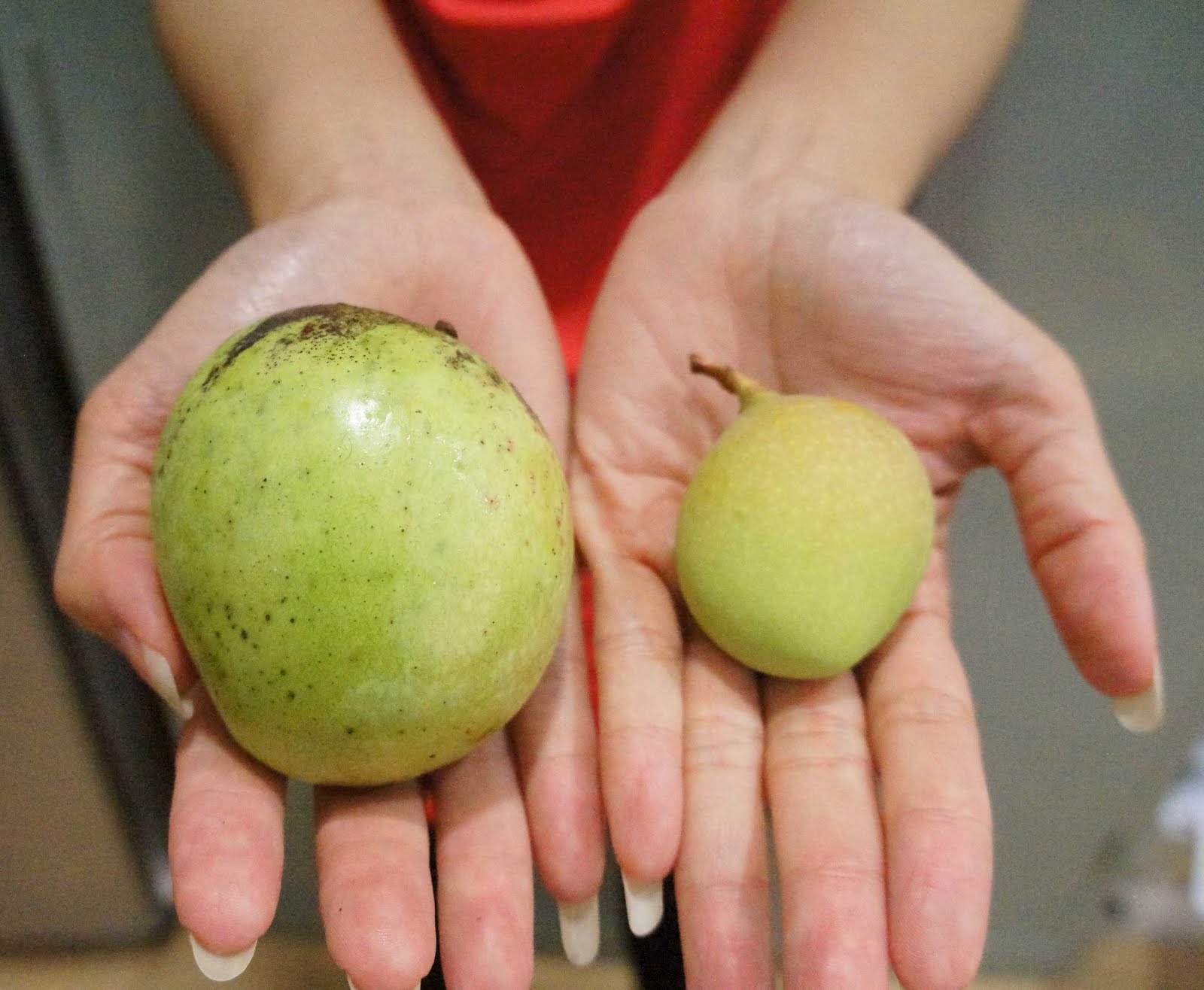 What's Cooking (in Yvonne's Kitchen)?