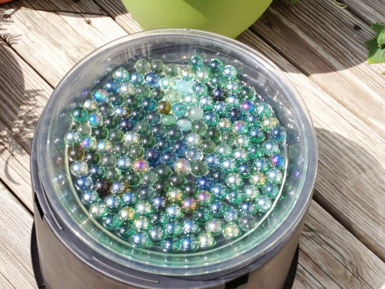 Bonz Blogz: Bee Water Station