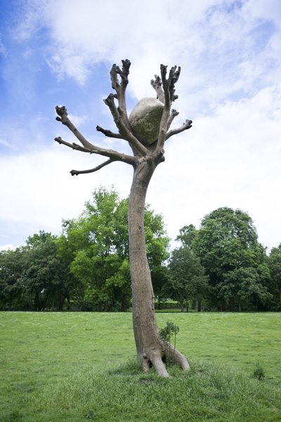 Paul's Art World: PENONE AND THE TREES