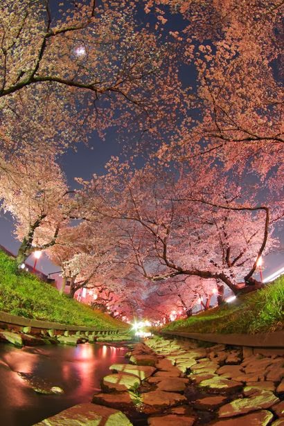 Pinterest Pics: Pinterest 3