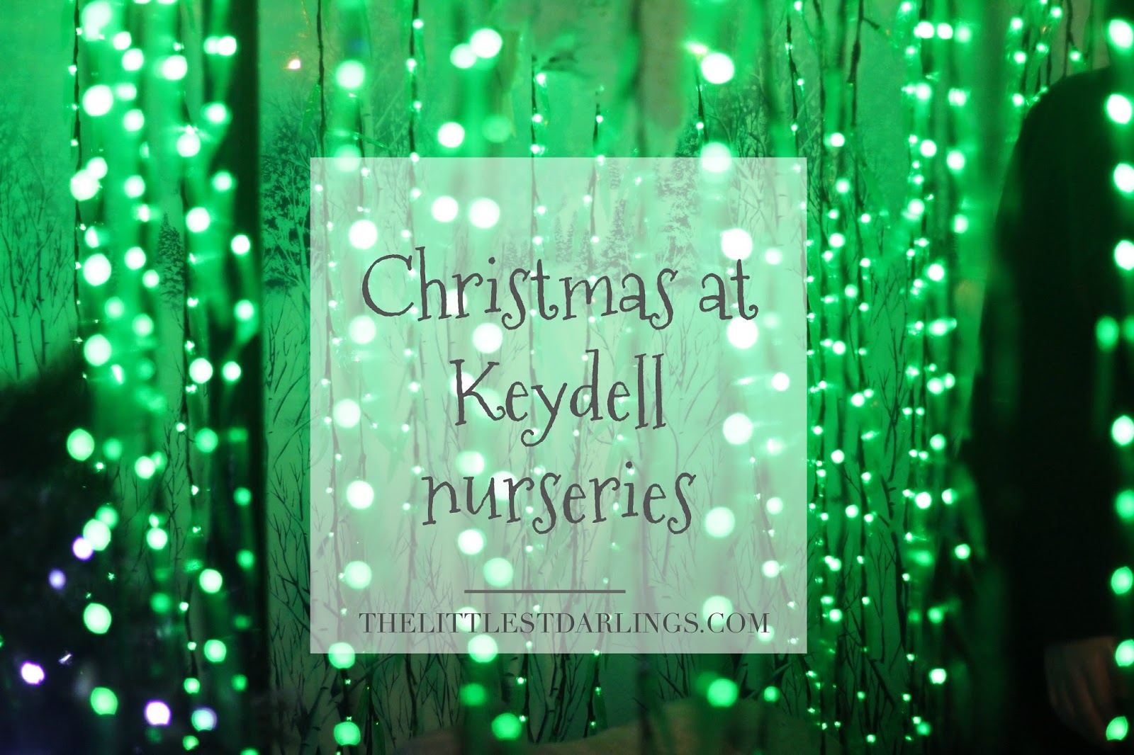 CHRISTMAS AT KEYDELL NURSERIES | The littlest darlings
