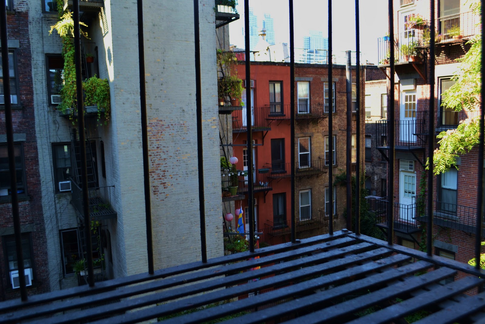 American Homestead: Outside My Window ~ New York City