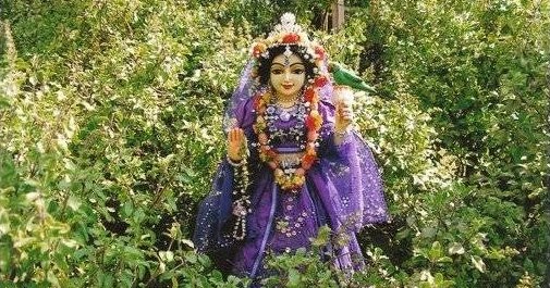 krishna1008: Sri Vrnda Devi Astakam (Visvanath Chakravarti Thakura)