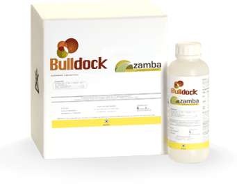 Productos Quimicos : Bulldock zamba