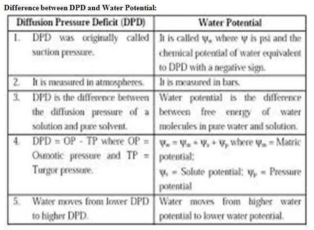 Concept of Water Potential ~ Dhiraj's Blog