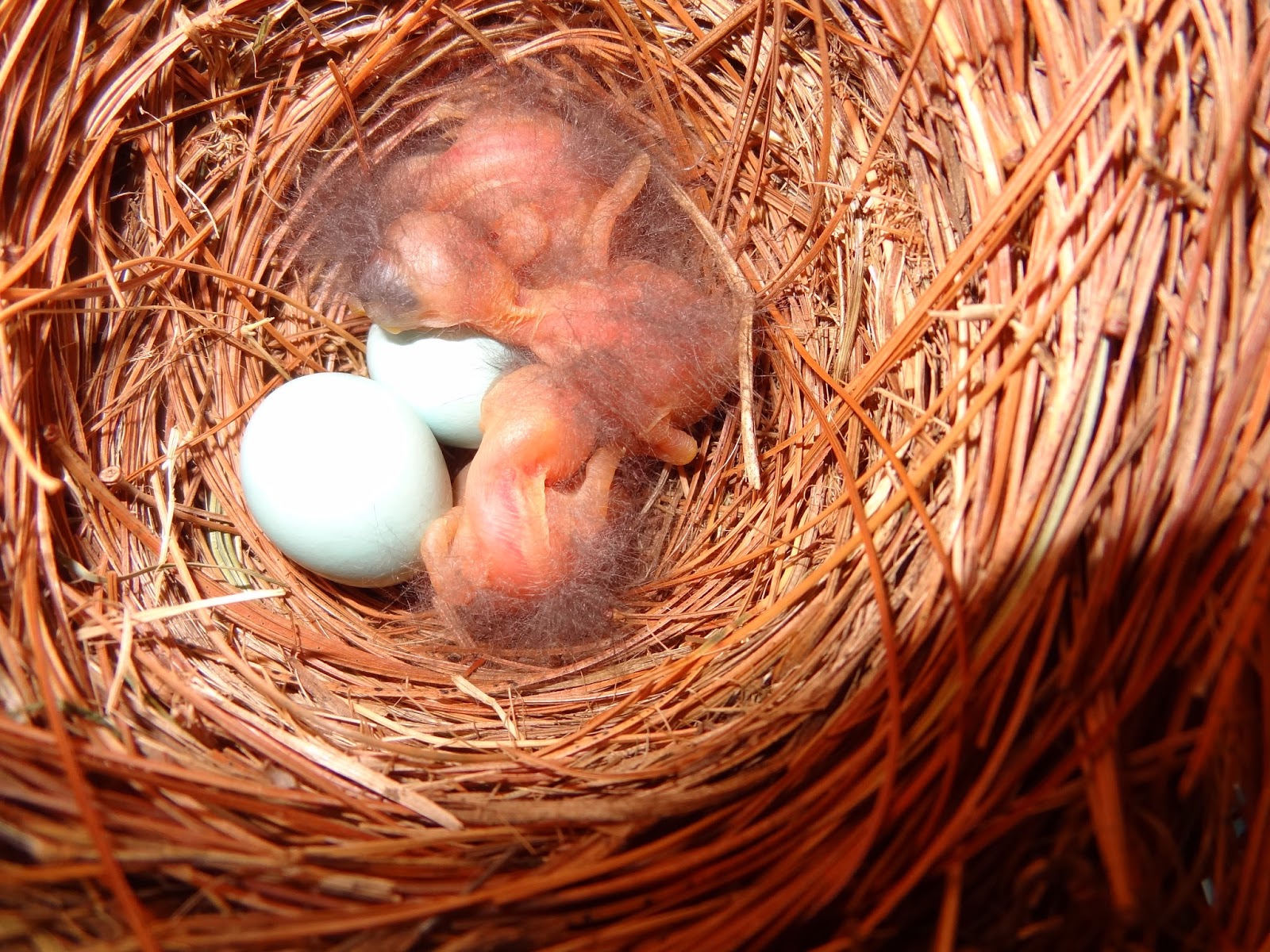 Live and Learn-Toss and Turn: May 4, 2016