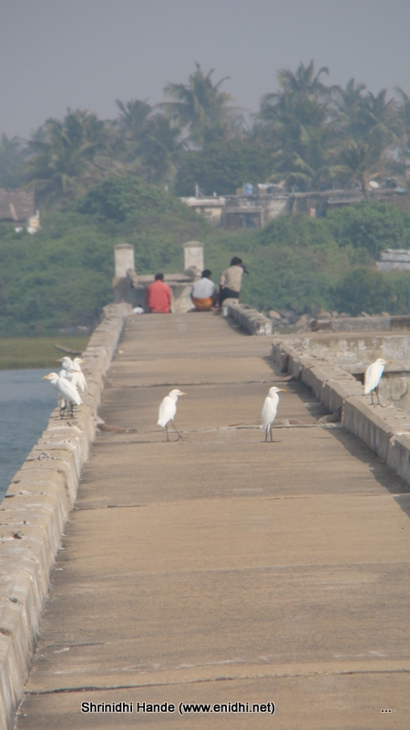 Broken Bridge-Adyar, Chennai - eNidhi India Travel Blog