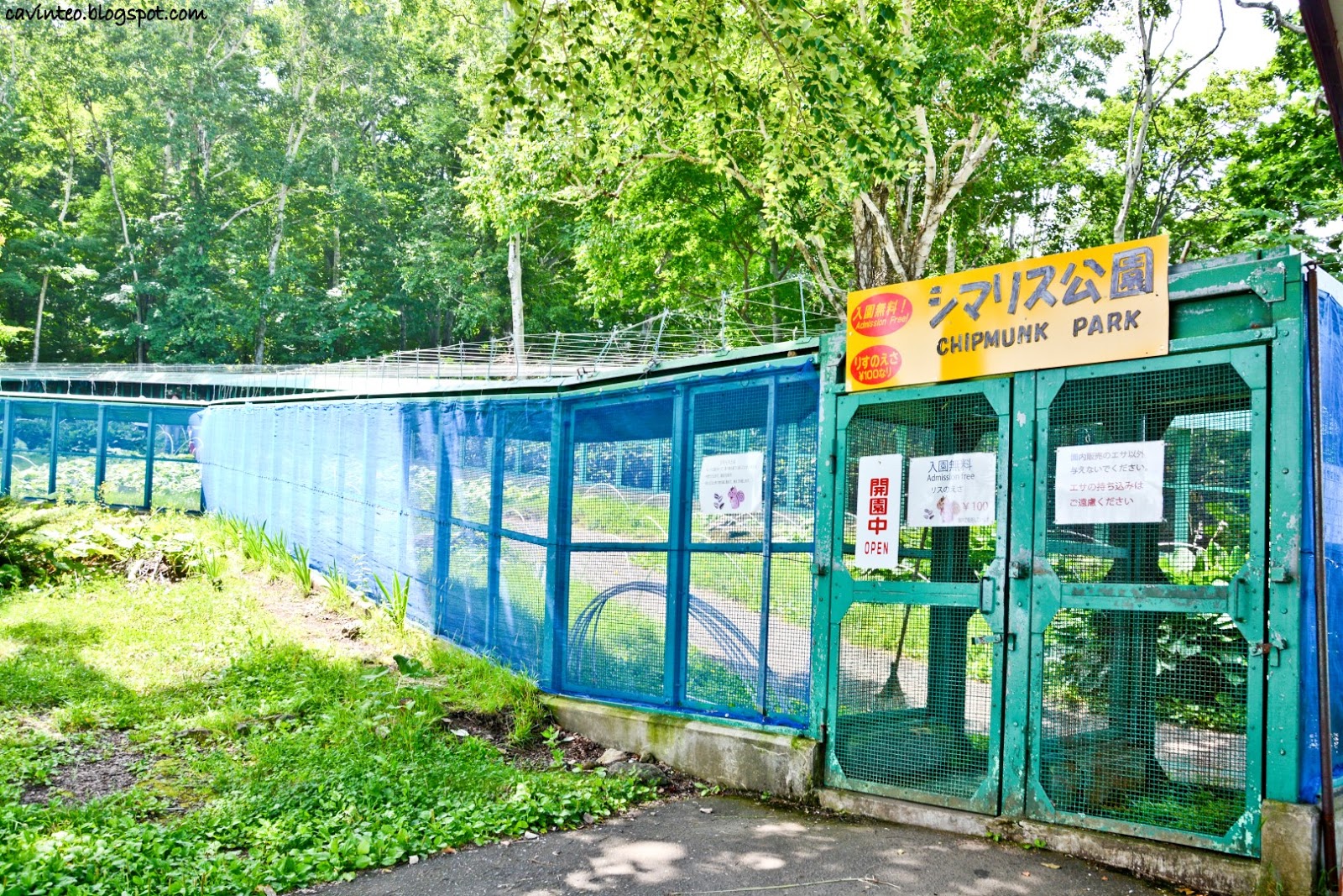 Entree Kibbles: The Chipmunk Enclosure at Mount Tengu in Otaru ...