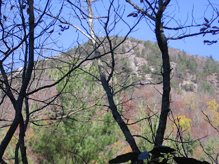 Relaxed Hiking NC: Spence Ridge Trail Linville Gorge 11/5/2011