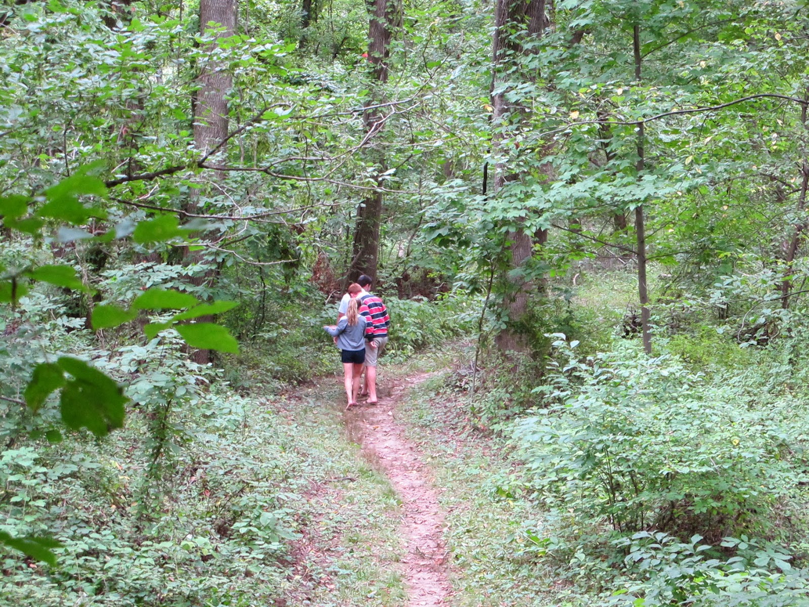 Green Hands: The Impact of Human Disturbance on Biodiversity Study