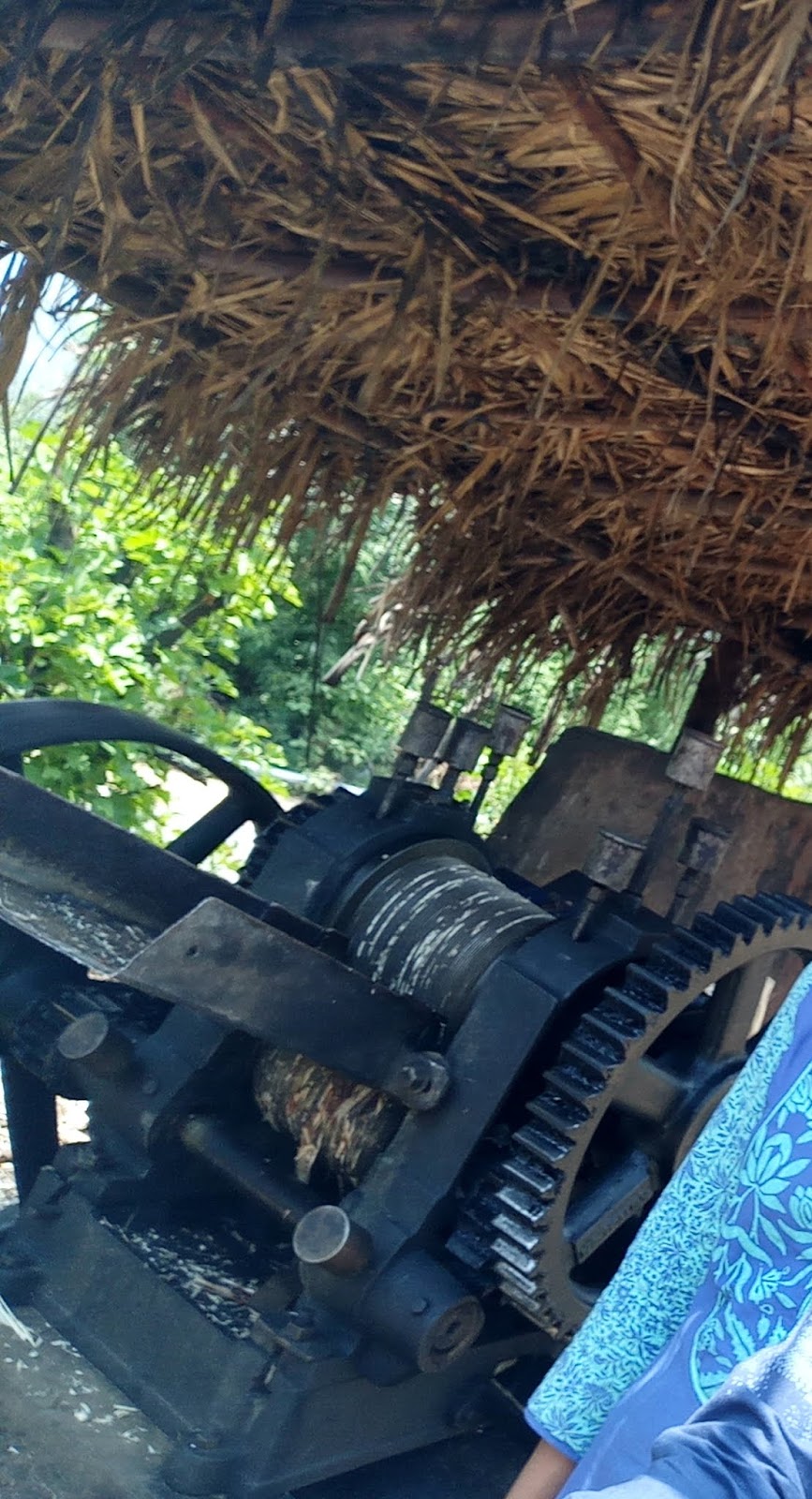 DILROSE BLOG .... visit and subscribe DILROSE VLOG and SHARE YOUR IDEAS ...