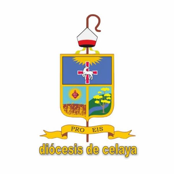 DIDIPAC-Diócesis de Celaya: Textos del Proceso Diocesano de Catequesis ...