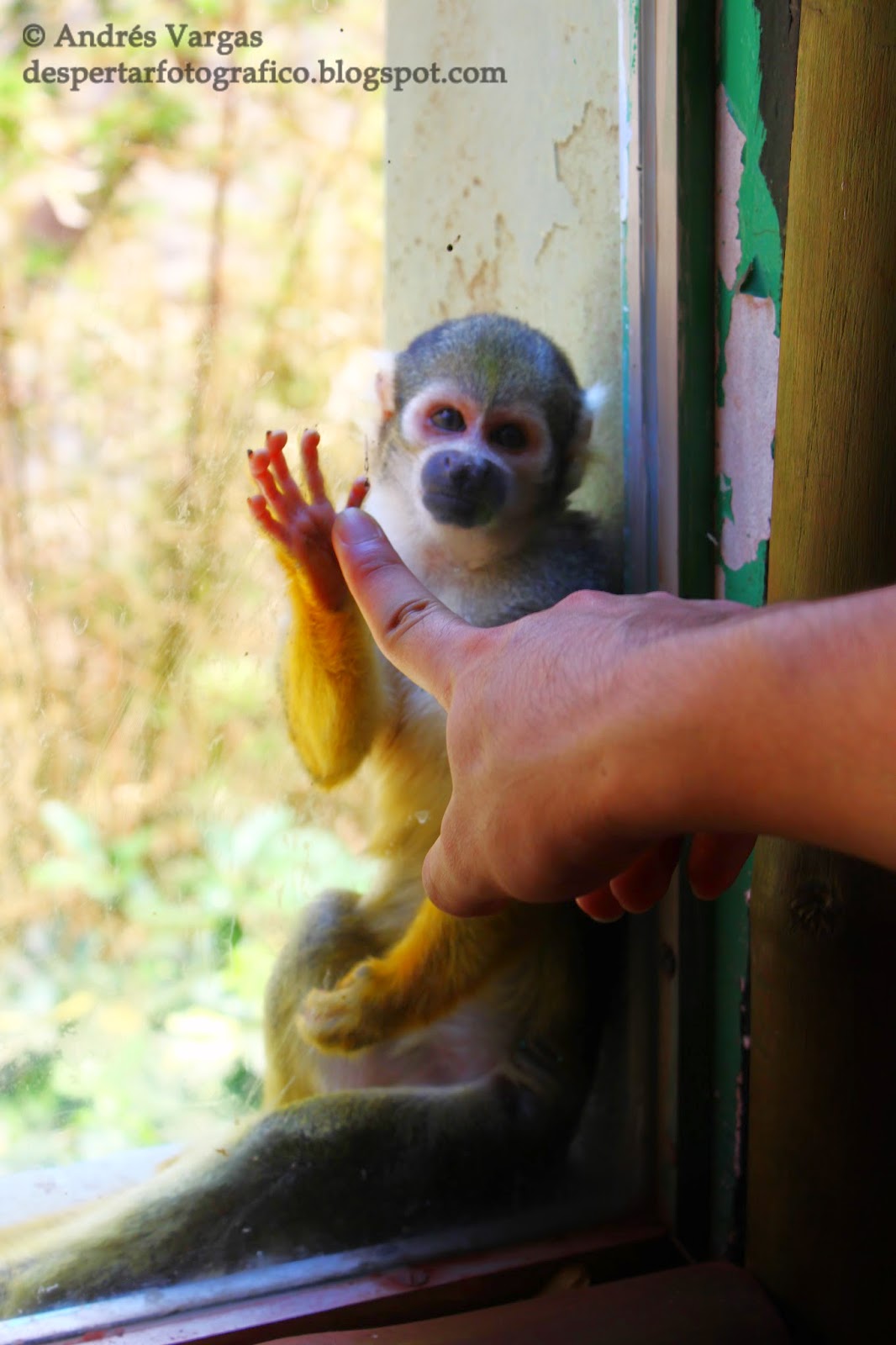 DESPERTAR FOTOGRÁFICO: 2015