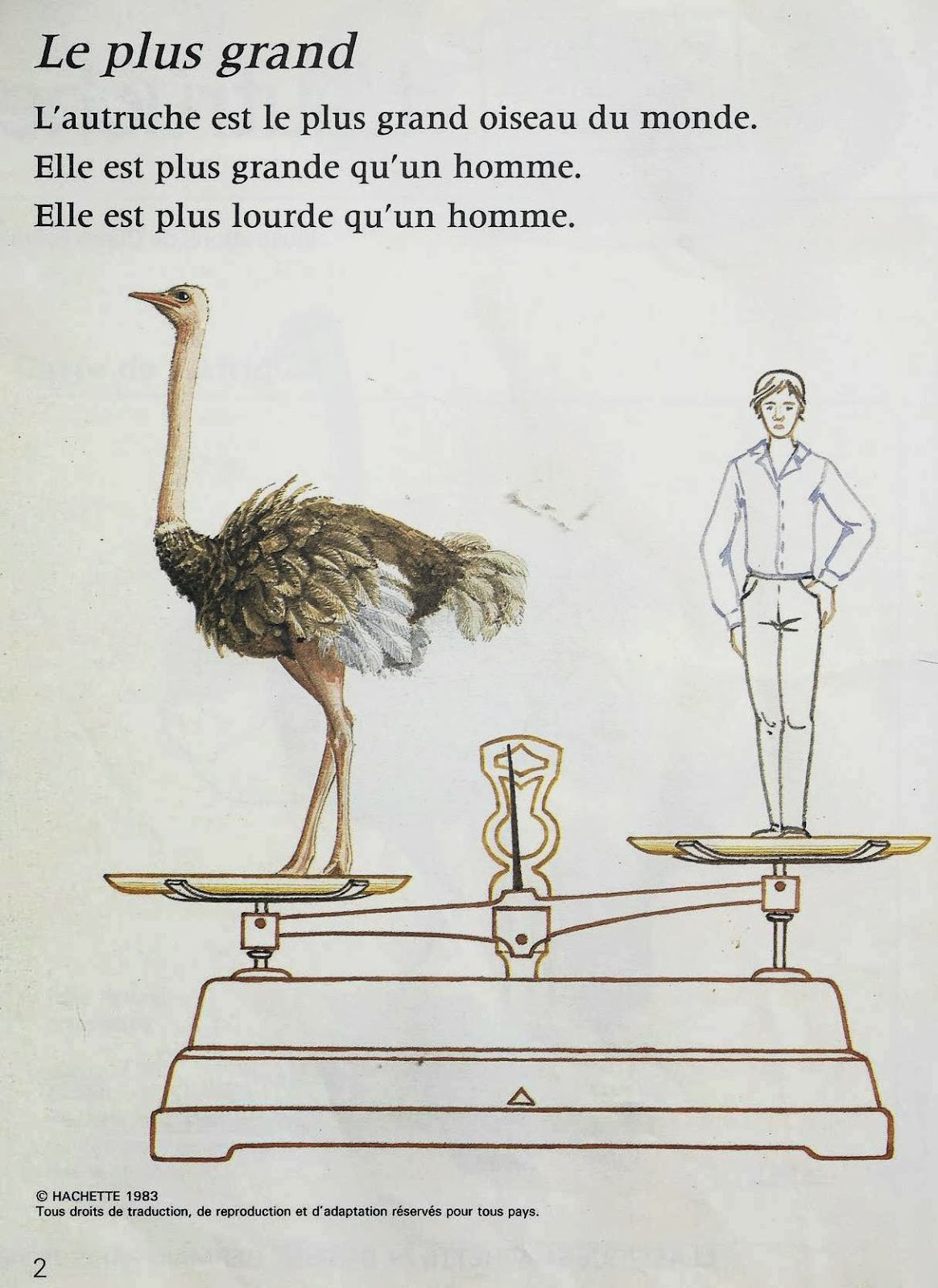 Leçons de choses: L'autruche