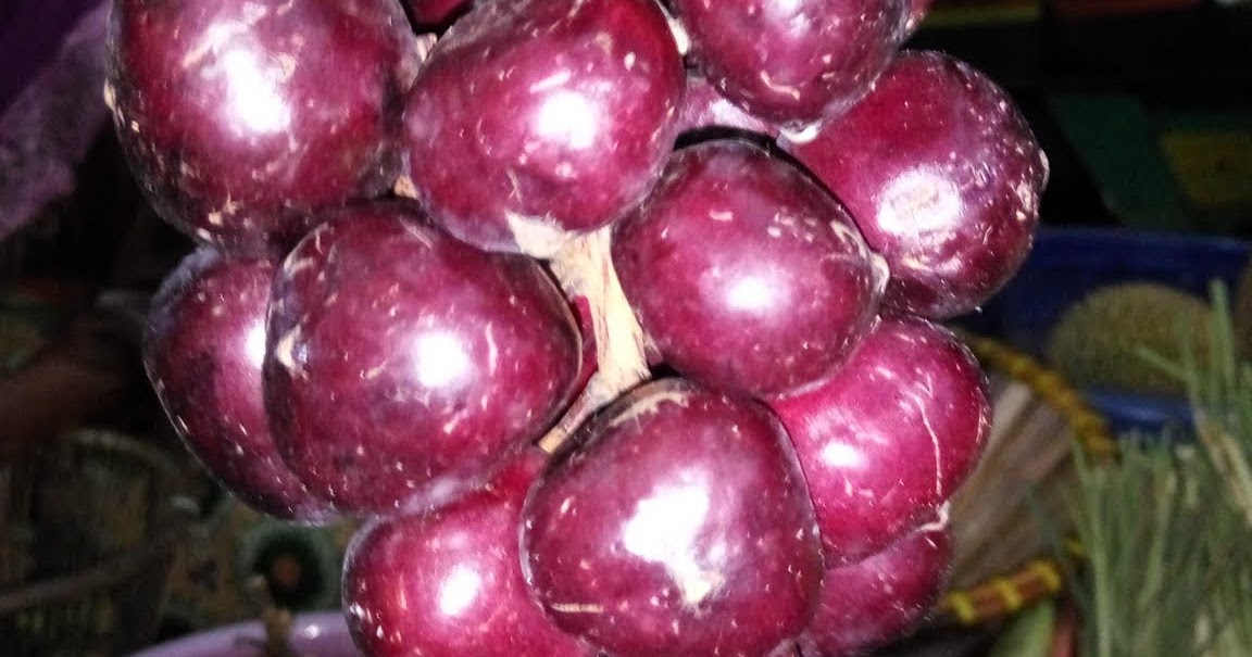 Buah Kenyem / Balangkasua, Salah Satu Buah Hutan Kalimantan ...