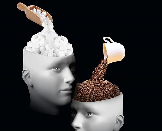 La Ciencia es cultura: El gusto en el cerebro.