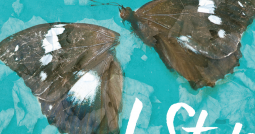 Review: I Stop Somewhere by T. E. Carter (#Ad) ~ Once Upon a Bookcase