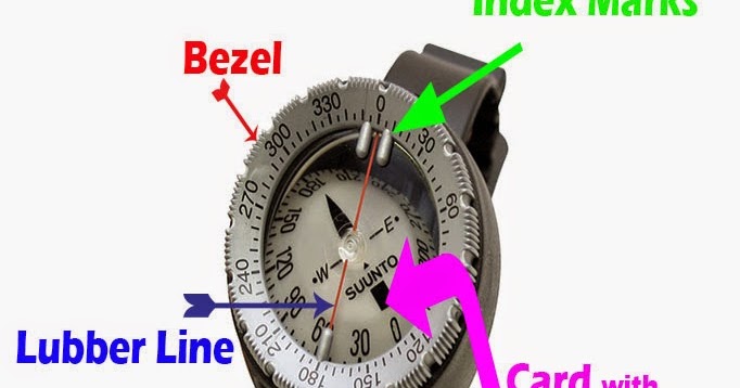 Scuba Tech Diving Centre, Cyprus: Finding your Path- Underwater ...