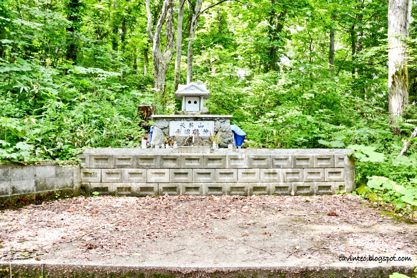 Entree Kibbles: Tenguyama Shrine (天狗山神社), Dragon God Shrine & Statue of ...