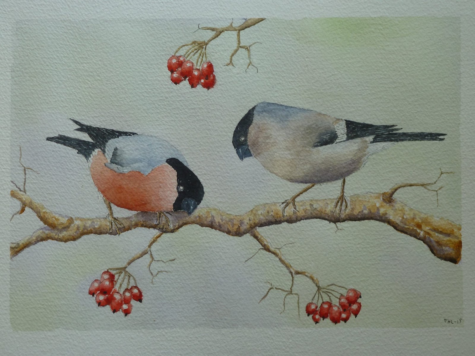 Peters Udsigt: Akvarelmaleriets mysterier (61) - dompap som motiv ...