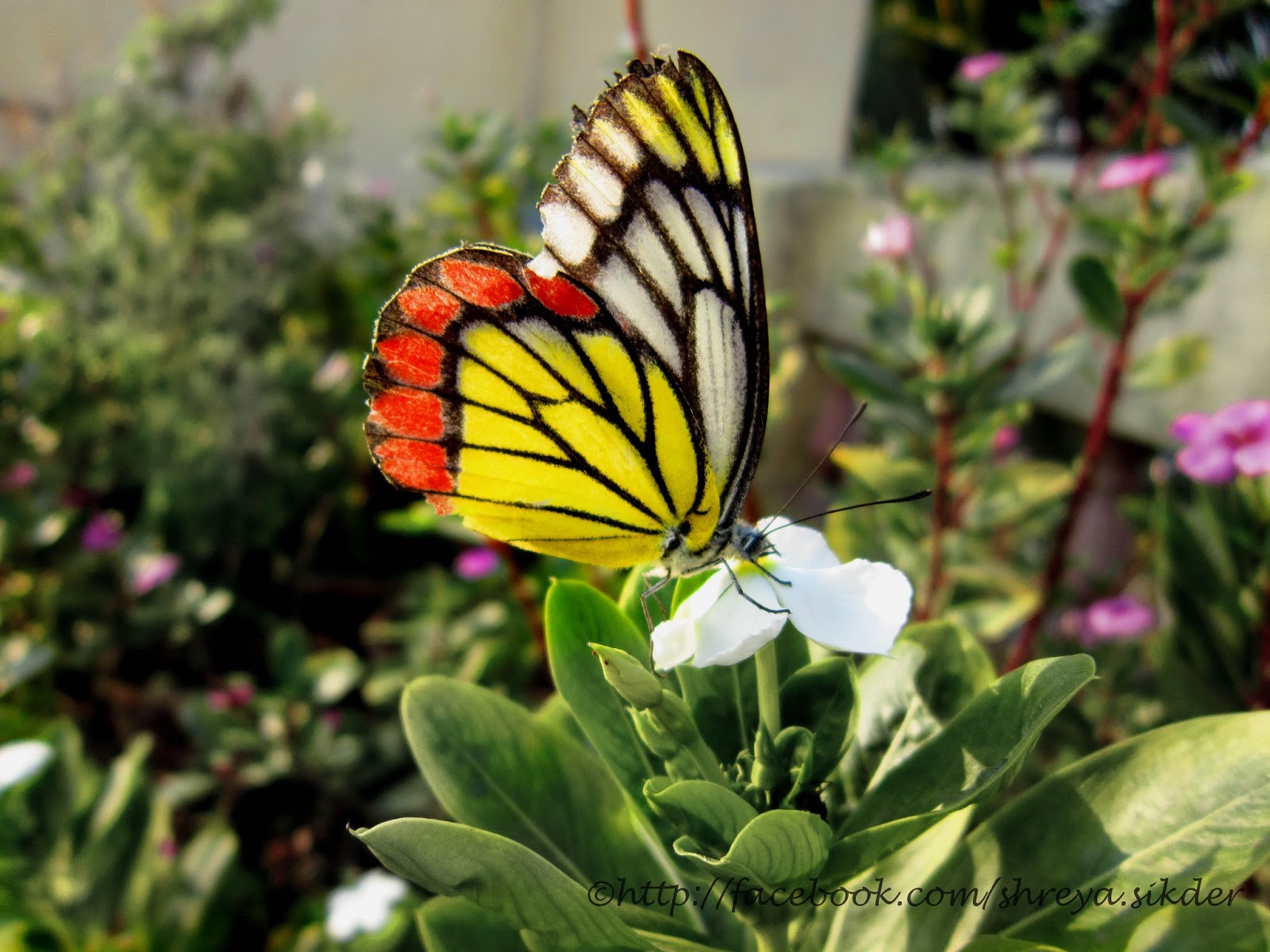 Let's Walk Together And Explore The World. Shall We? : August 2013