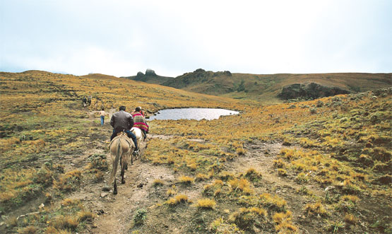 EliiÄnää ViiväzZ: El Paramo